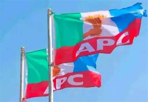 APC Monitoring Team Not For Fault Finding The Nation Newspaper