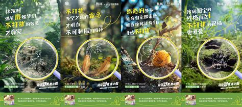 甄稀携手蚂蚁森林给动物放假 Socialbeta