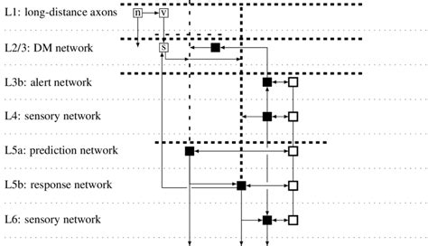 Intra Node Connections Only The Main Patterns Are Shown Filled