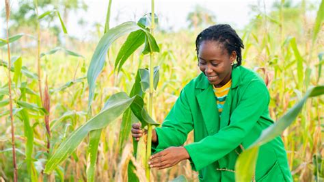 Crop Guides Bioprotection Portal