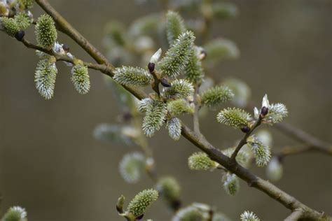 New Policy On Antibiotics Could Cause Explosion In Human Fungal