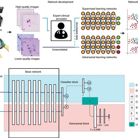 Schematics Of The Use Of Adversarial Domain Adaptive Neural Networks