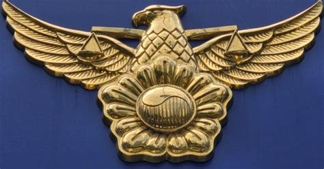 제동장치 없는 픽시자전거경찰 보호자도 방임 혐의 적용