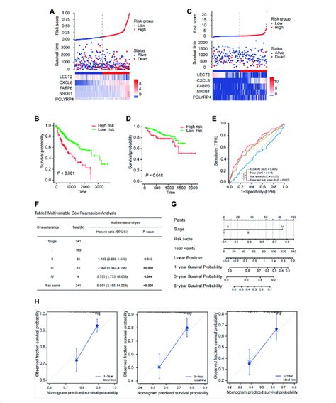 Risk Score Model Prediction And Validation Building A Five Gene