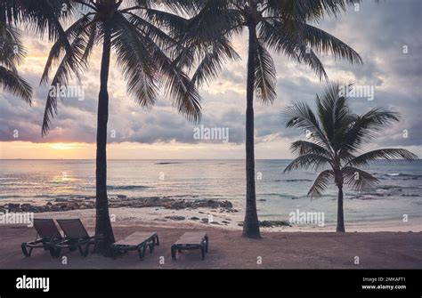 Tropical Beach With Coconut Palm Trees Silhouettes At Sunset Color
