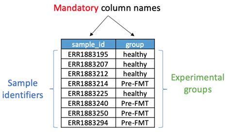Example Dataset