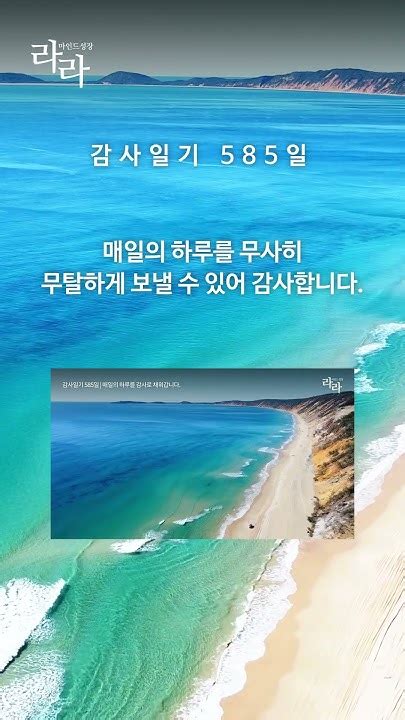 감사일기 585일 감사한 것에 감사할 줄 알게되어 감사합니다감사일기 매일 감사로시작하는365 감사영상 감사 나와의약속 자기사랑 Youtube