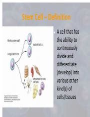 Understanding Stem Cells Types Properties And Potential Course Hero