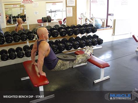 Weighted Bench Dips Video Exercise Guide And Tips