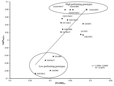 linear correlation between the log function of relative performance