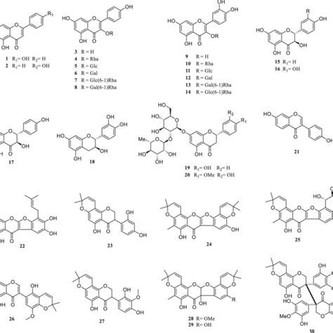 The Structures Of Triterpenoids And Steroids From Tadehagi Triquetrum Download Scientific Diagram
