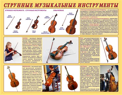СТЕНДЫ ПО МХК / Струнные музыкальные инструменты (смычковые)