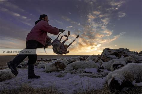 ФОТО Зудад нэрвэгдсэн малчин өрх