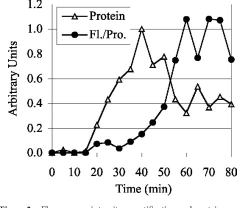 Figure 3 From The Saccharomyces Cerevisiae Spindle Pole Body Is A Dynamic Structure Semantic