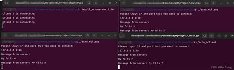 【tcp ip】利用i o复用技术实现并发服务器 epoll io复用实现服务器 csdn博客
