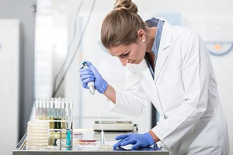 Essential Equipment For Precise Laboratory Sample Preparation Drawell