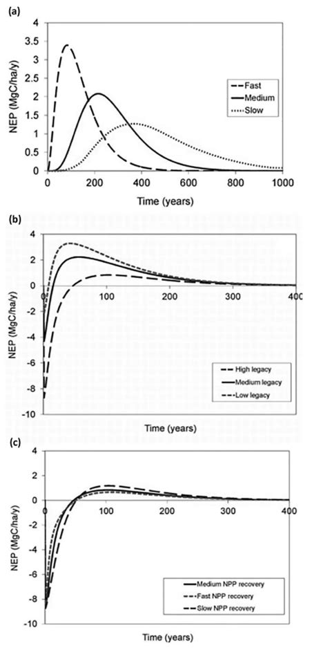Temporal And Spatial Patterns