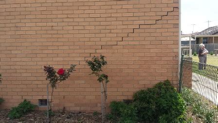 Impact Of Trees And Gardens Too Close To Buildings Arkle Co Underpinning And Restumping
