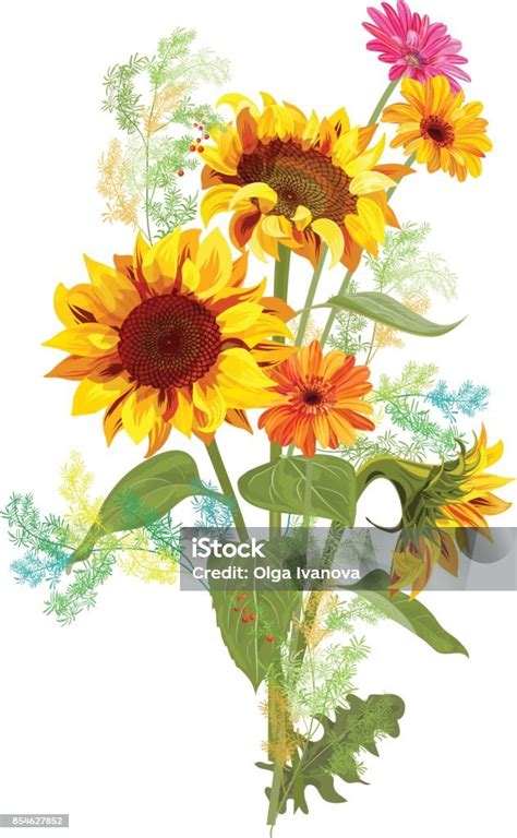 부케가을 꽃 노란 해바라기 오렌지 Gerbera 데이지 꽃 흰색 바탕에 아스파라거스의 작은 녹색 잔 가지 디지털 그리기 일러스트 레이 션 디자인에 대 한 수채화 스타일 벡터