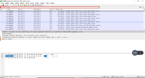 网络协议和netty（7）：常用的网络抓包工具 Wiresharknetty 本地 抓包 Csdn博客