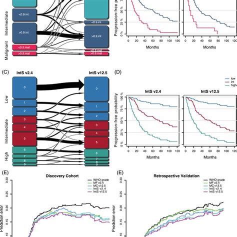 Class Prediction Accuracy Improves In The New V125 Brain Tumor