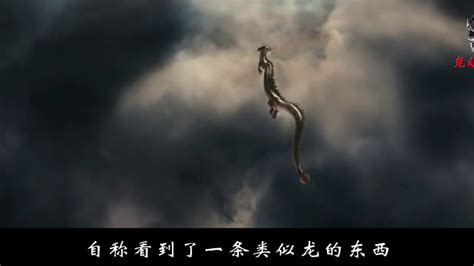龙是怎么来的？这世界上真的有龙存在吗？ Youtube