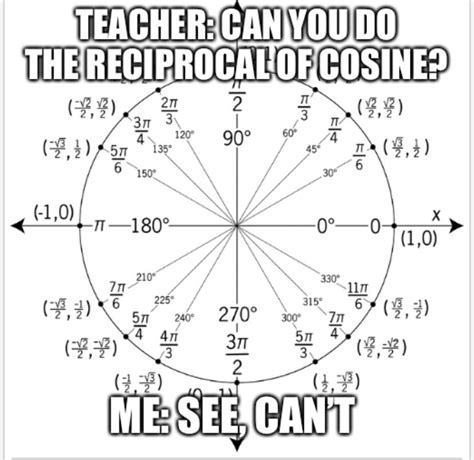 Made During Precalc R Mathmemes