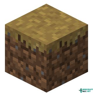 Dirt Path How To Craft Dirt Path In Minecraft Minecraft Wiki