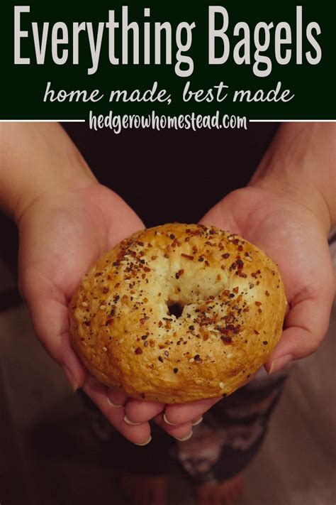 Delicious Everything Bagel Recipe Hedgerow Homestead