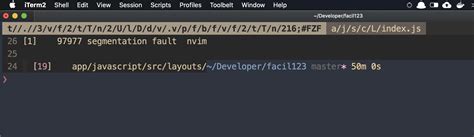 Segment Fault When Using Terminal · Issue 11548 · Neovimneovim · Github