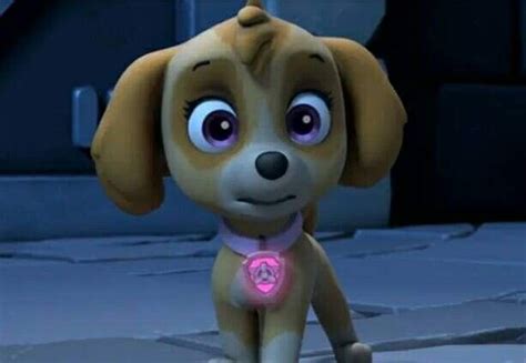 Пин от пользователя Thomas Ash на доске Paw Patrol Subseries Щенки