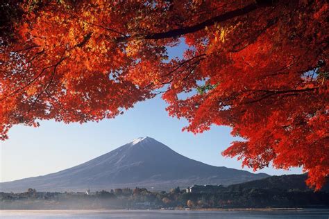 【全国紅葉の絶景】富士山と共に眺める、山梨県の紅葉人気スポット Tabizine～人生に旅心を～
