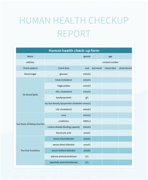 10 Printable Database Health Check Report Template Excel Tacitproject