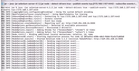 🐛 Bug Node Not Registering On Hub For Non Dockerised Grid 4 On Aws