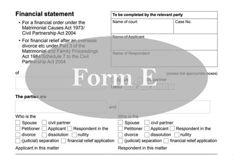Form E In Divorce What Is It What Do I Need To Do