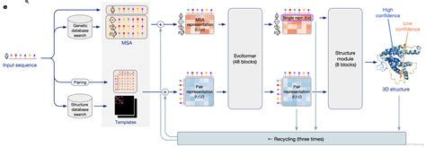 Psp Alphafold2 中 Monomer Msa 特征的源码简读 1 Alphafold Msa Csdn博客