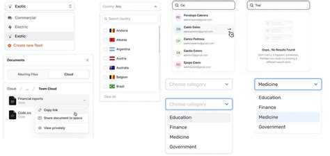 Handle Select2 Elements With The New Select2 Java Selenium Library By