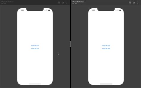 iOS14 5でSwiftUIがmultiple sheetに対応したので確認した