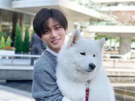 🎤キンプリ・永瀬廉、ワンコを抱っこして爽やか笑顔「夕暮れに、手をつなぐ」癒し要素しかないツーショット 芸能ニュース掲示板｜4レス｜爆サイ