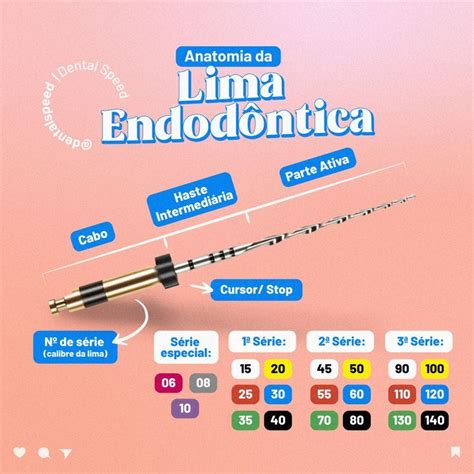 Limas Endodônticas Principais Modelos E Funções Anatomia Dentário