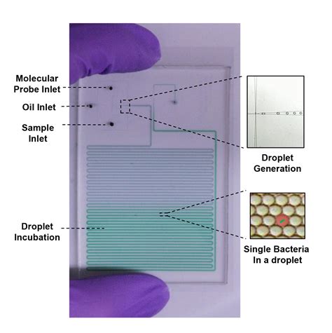 The Lab On Chip Revolution Finding The Right Niche Engineering360