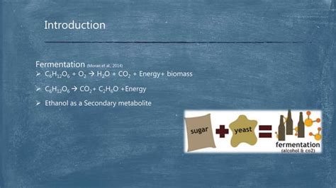 S Cerevisiae Fermentation In Shake Flask Experiment Pptx Chemistry Science