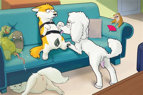 Rule 34 After Cunnilingus After Oral After Vaginal Animal Genitalia