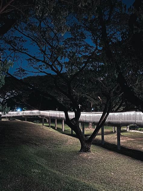 จุดเช็คอินห้ามพลาด สวนป่าเบญจกิติ วิวกลางคืนสุดปัง แกลเลอรีที่โพสต์โดย Mosserz Lemon8