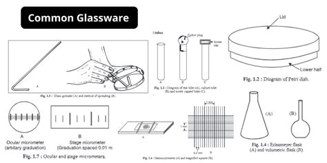 Infrared Spectroscopy Ir Spectroscopy Principle Instrumentation