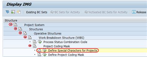 SAP PS Define Special Characters For Projects