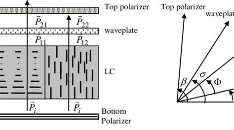 Schematic Diagram Of The STN LCD Download Scientific Diagram