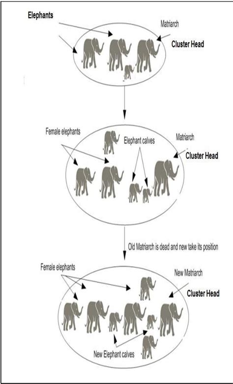 Figure 1 From Cluster Based Techniques Leach And Modified Leach Using