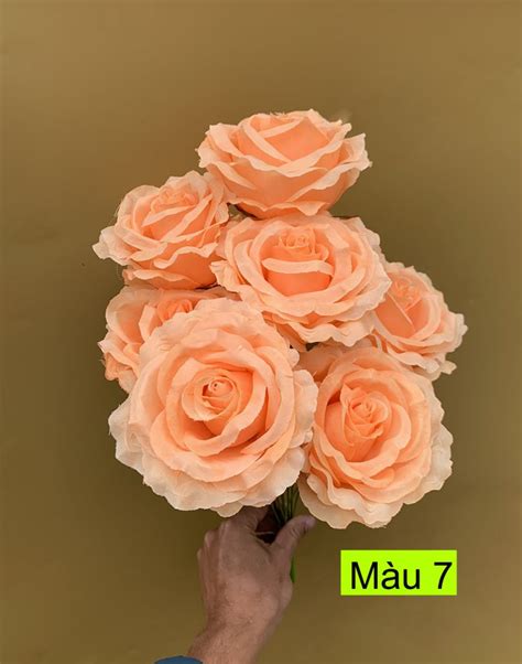 Hoa H Ng Gi H Ng B O B Ng Hoa H Ng L A Hoa H Ng Trang Tr