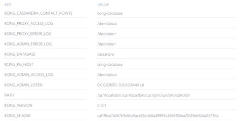 could not see logs in kong running in docker kong nation